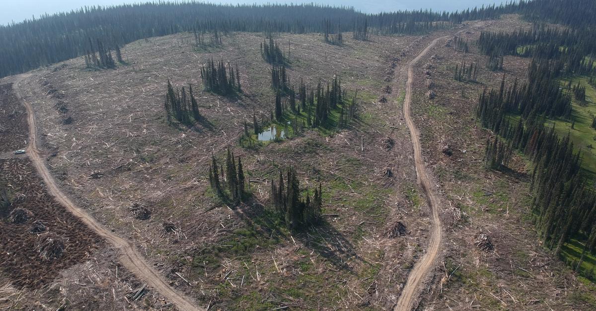 CANADA RELEASES IMMINENT THREAT ASSESSMENT FOR SOUTHERN MOUNTAIN ... CANADA RELEASES IMMINENT THREAT ASSESSMENT FOR SOUTHERN MOUNTAIN ...